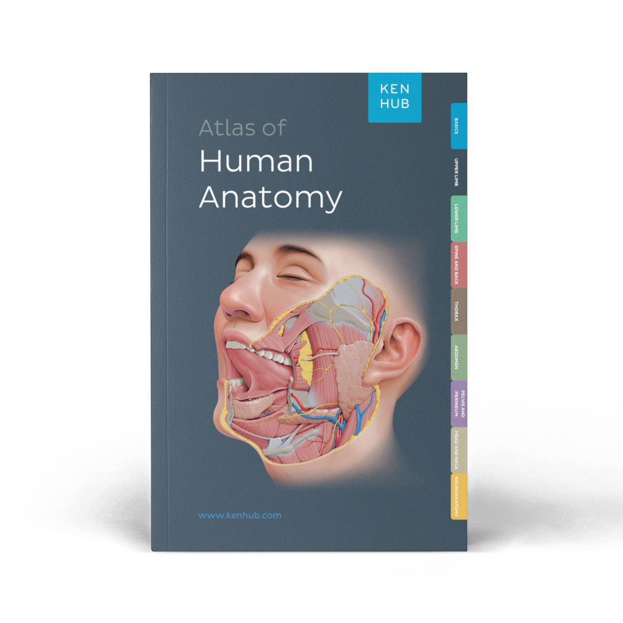 Kenhub Atlas of Human Anatomy - eBook – Kenhub Merch