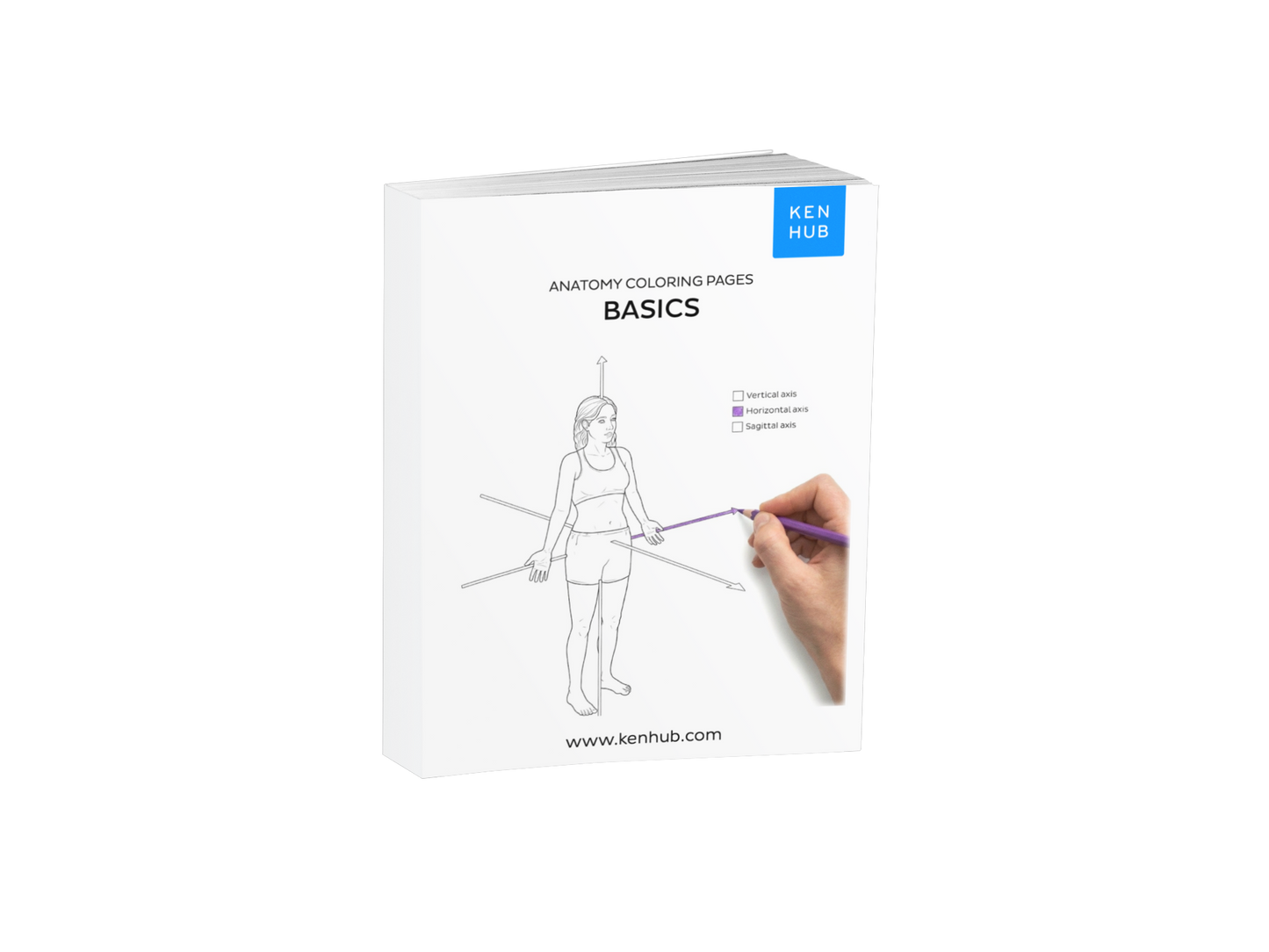 Basics: Coloring Pages – Kenhub Merch